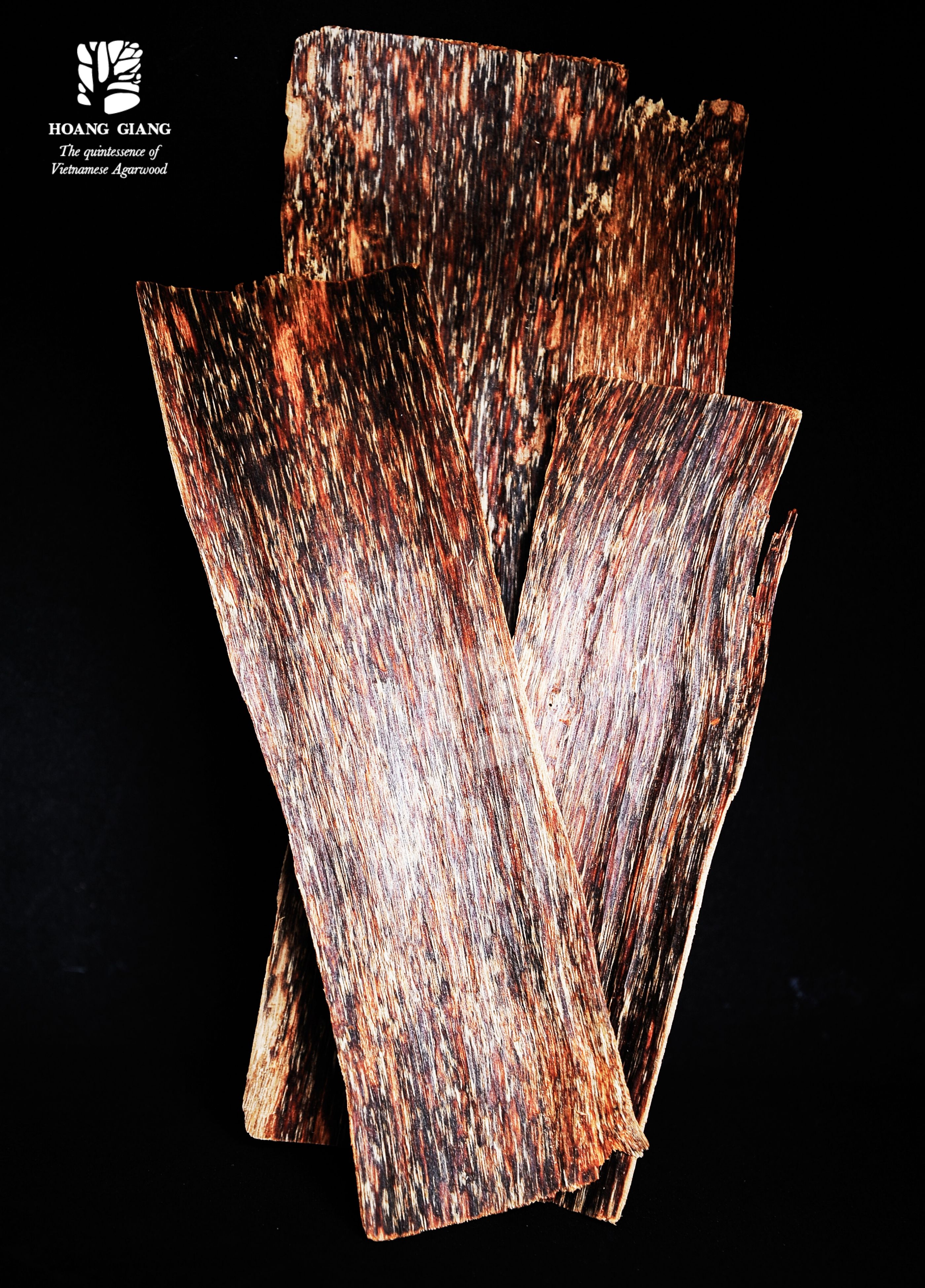 Current uses of Agarwood (Oud) in some industries | HAGA Oud - Hoang ...